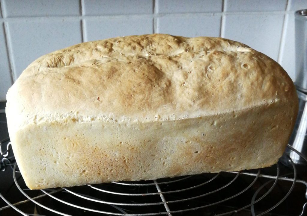 Brot & Brötchen – Ladys Kochblog